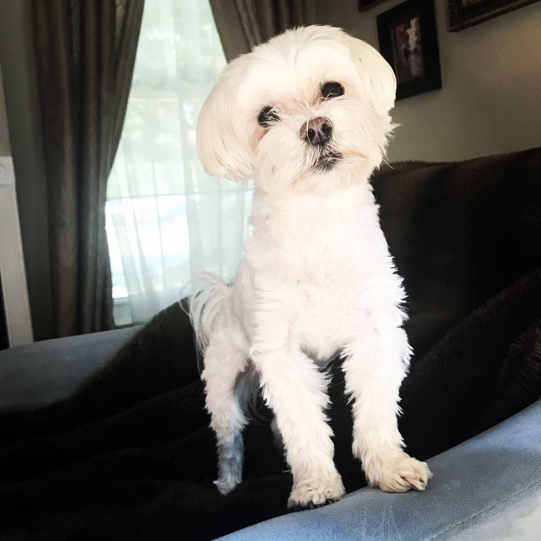 Lucca – Good Thomas™