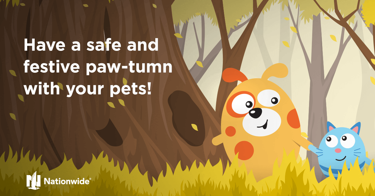 Paw-tumn safety tips for pets – Good Thomas™