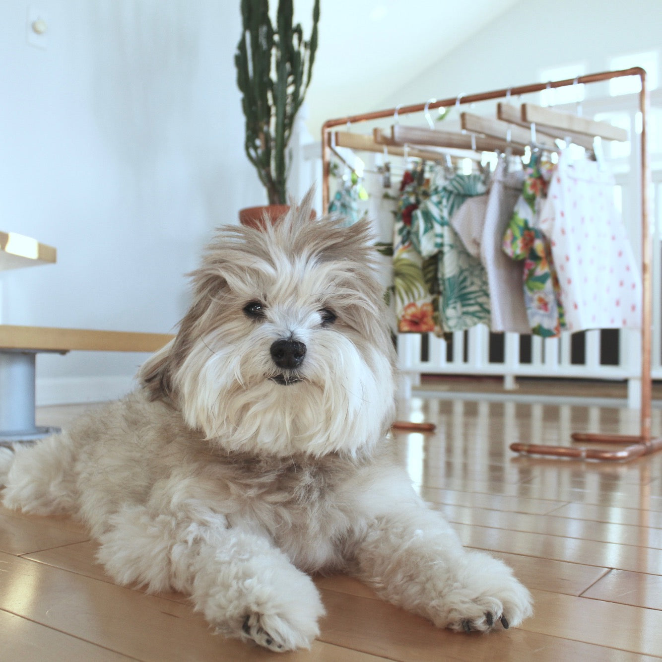 Thomas – Good Thomas™