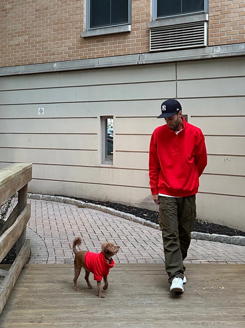 Comfort Hoodie | Matching Dog + Owner Hoodie Sweatshirt by Good Thomas ...