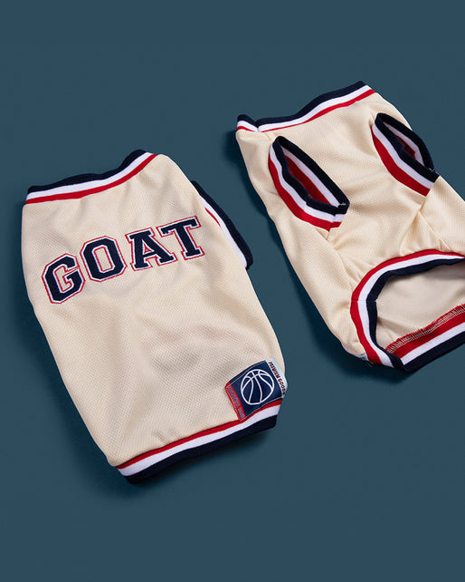 Good Thomas | Matching Outfits, Dog Clothes, and Premium Goods for Dog