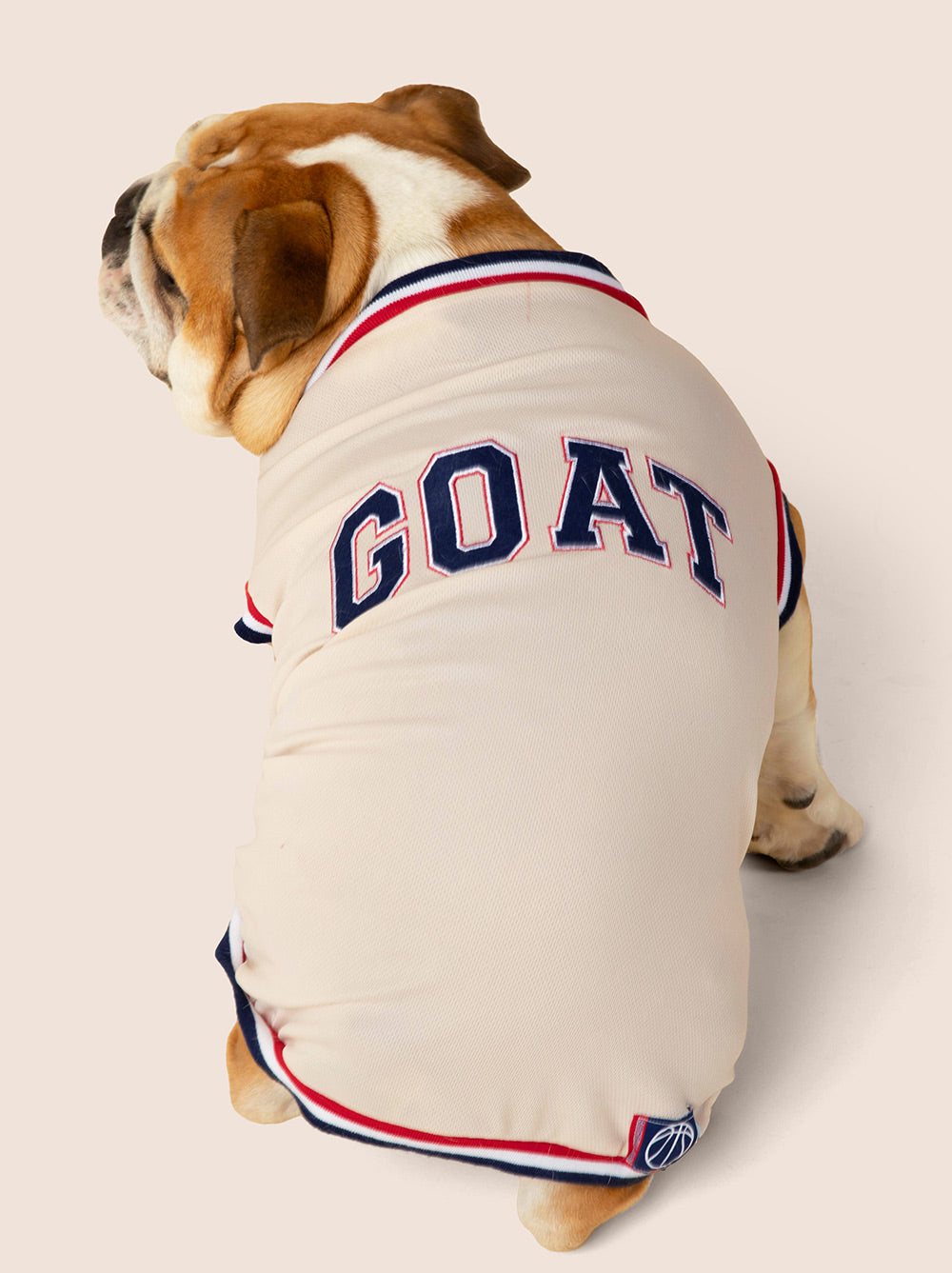 Good Thomas | Matching Dog & Human Clothes | Best Dog Lover Gifts 2025 ...