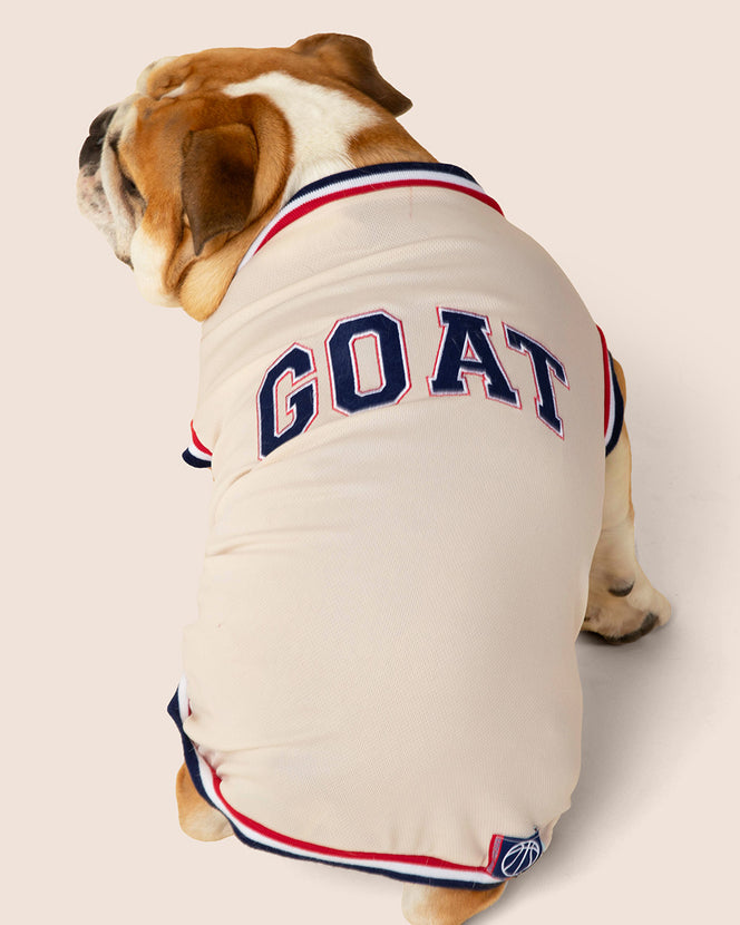 Good Thomas | Matching Outfits, Dog Clothes, and Premium Goods for Dog