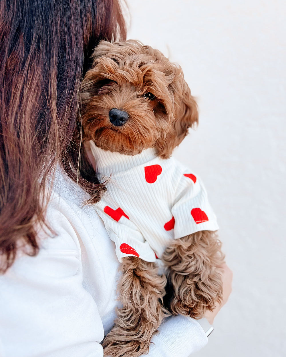 Good Thomas | Matching Outfits, Dog Clothes, and Premium Goods for Dog