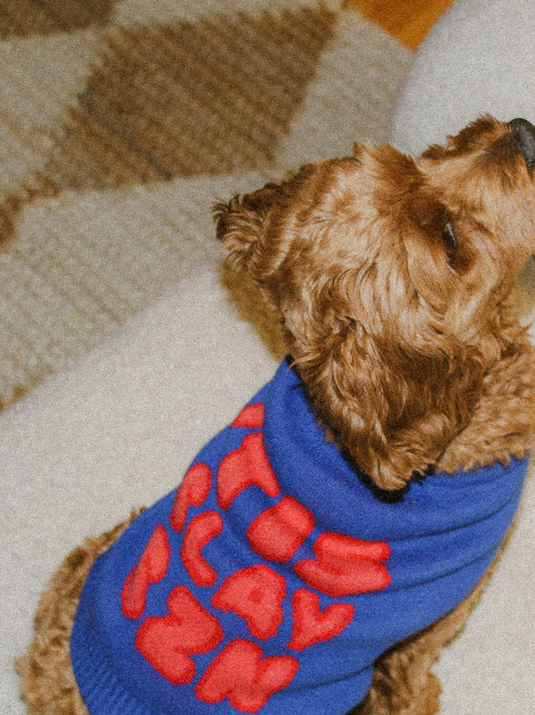 'Tis Slay Szn Sweater | Cheeky Holiday Dog Sweater by Dog Threads ...