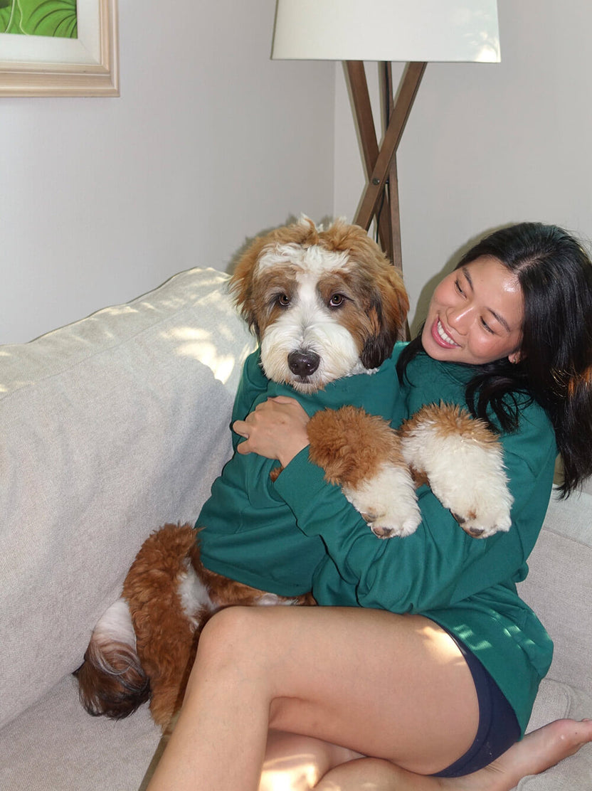 Comfort Hoodie | Matching Dog + Owner Hoodie Sweatshirt by Good Thomas ...