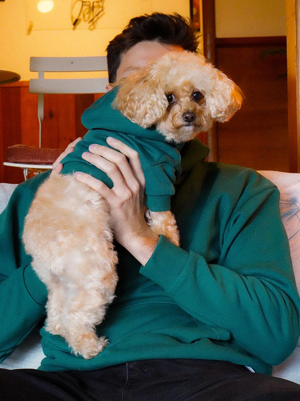 Comfort Hoodie | Matching Dog + Owner Hoodie Sweatshirt by Good Thomas ...