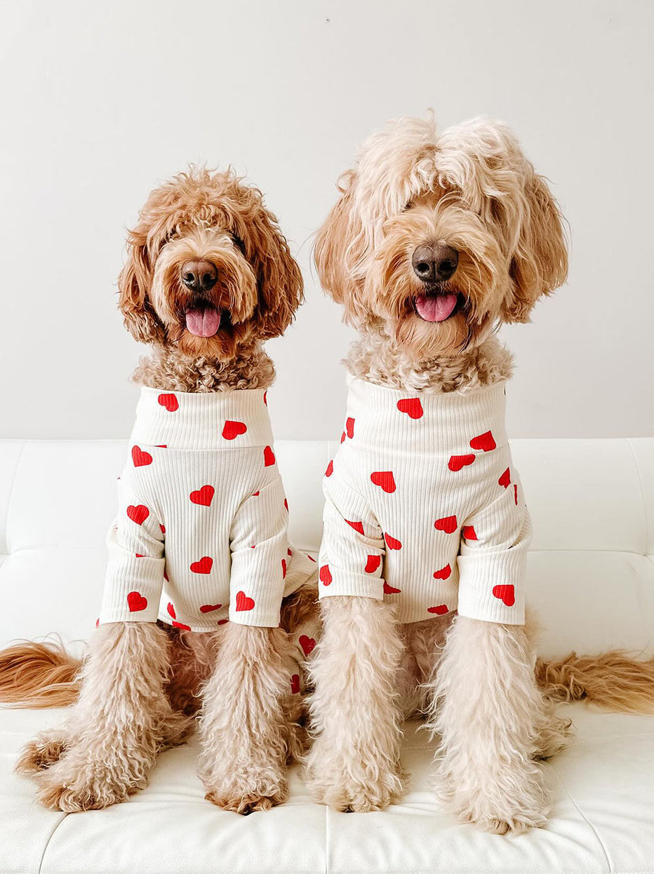 Love Bug Onesie by Dog Threads | Heart Print Dog Pajama from Good Thomas