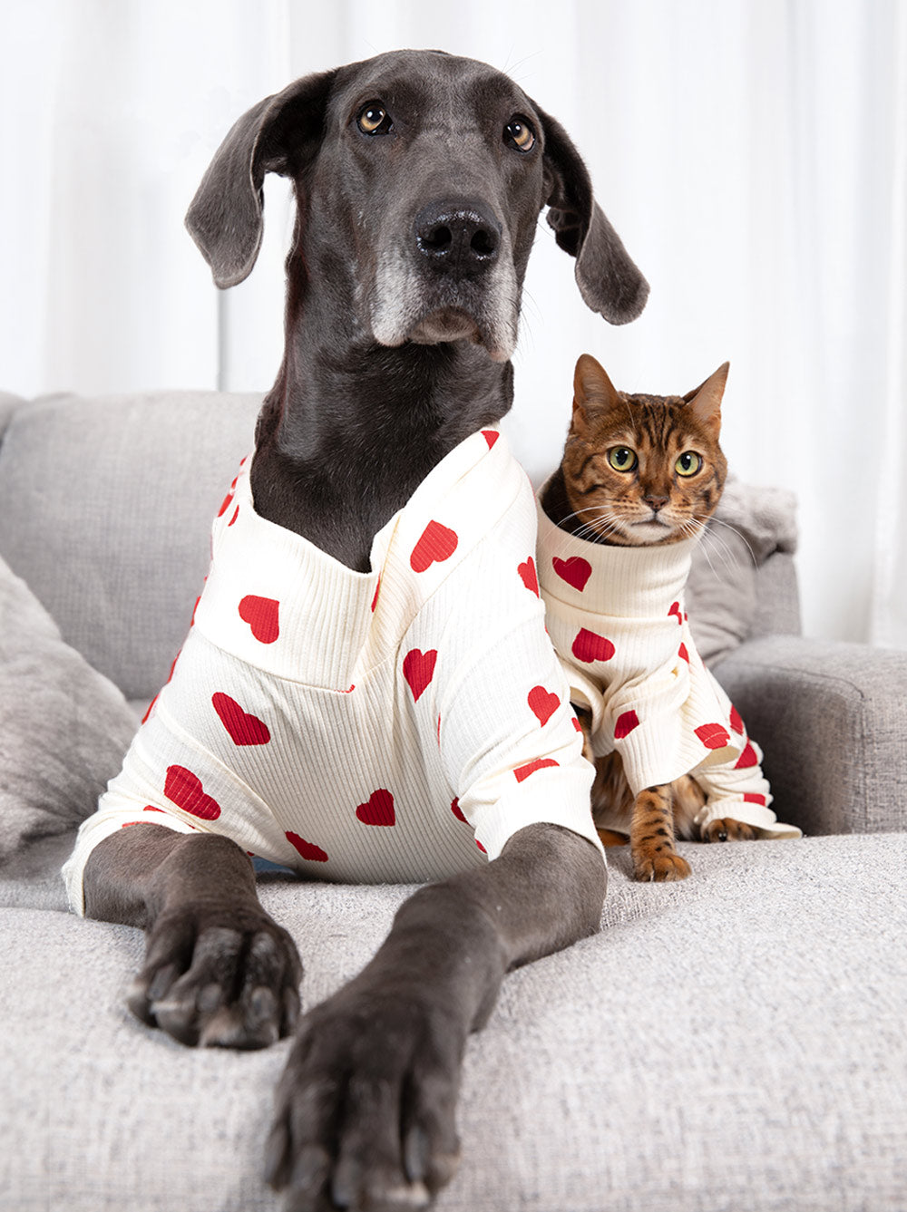 Love Bug Onesie by Dog Threads | Heart Print Dog Pajama from Good ...