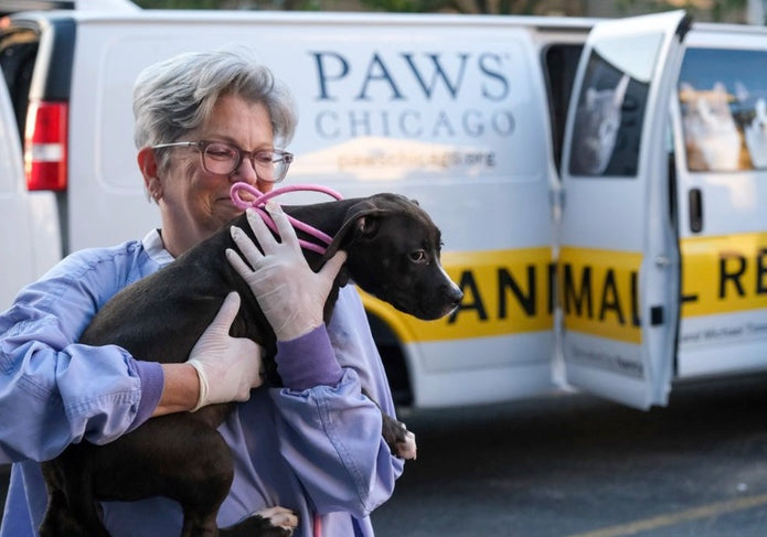 Rescue Partners – Good Thomas™