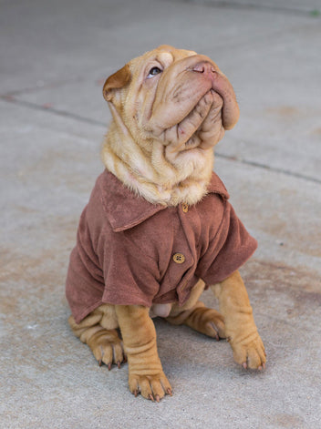 Embroidered Plush Robe by Dog Threads | Matching Owner & Big Dog ...
